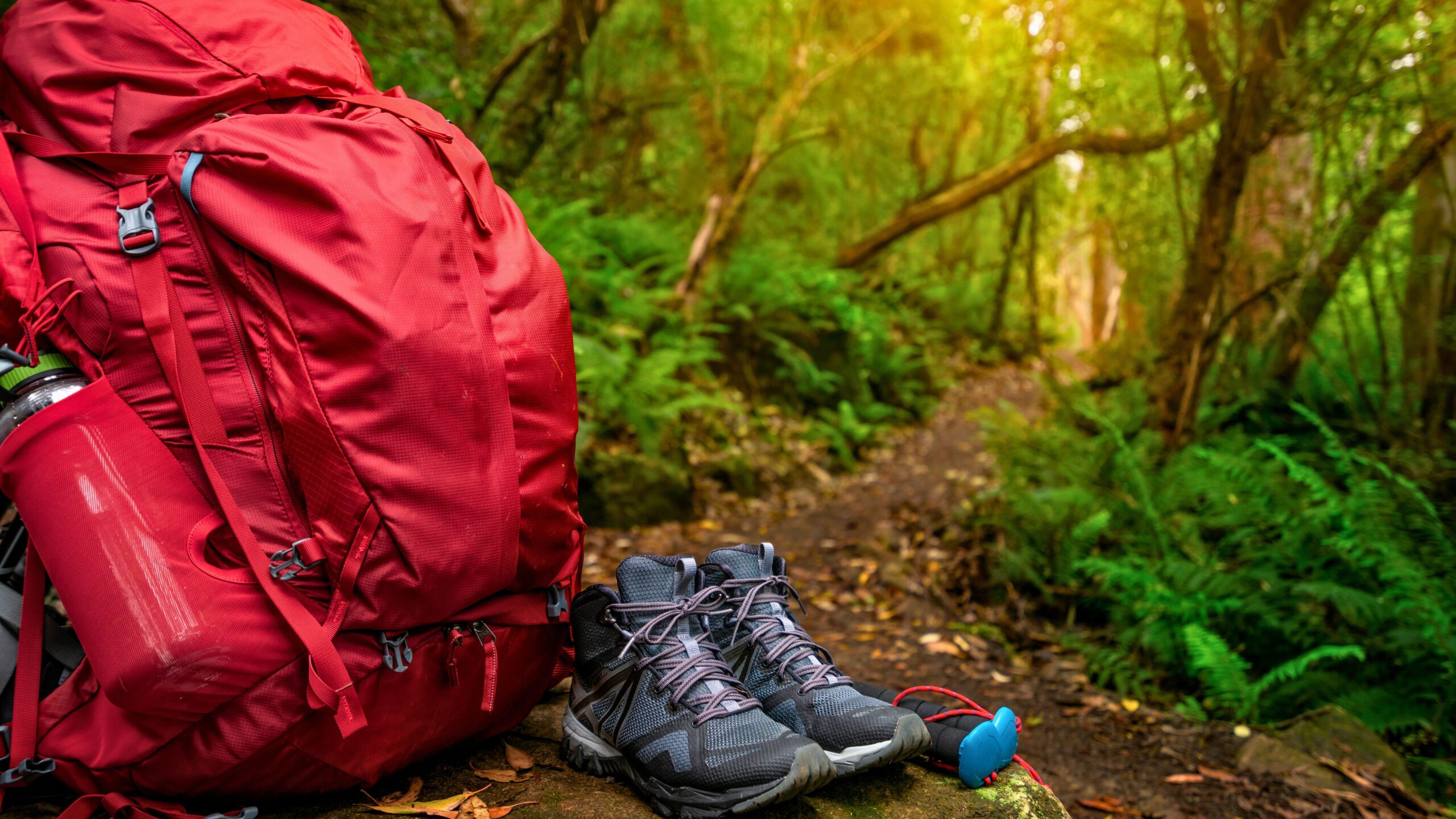 How to Pack for a Hike: The Trailblazer’s Guide to Gear and Grit 🌲🎒 — Lambus